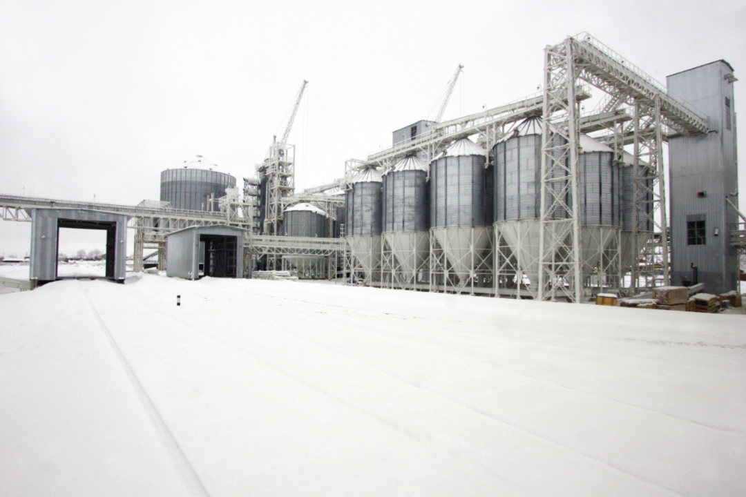 Russian feed industry investment slowing – Caribbean Millers’ Association